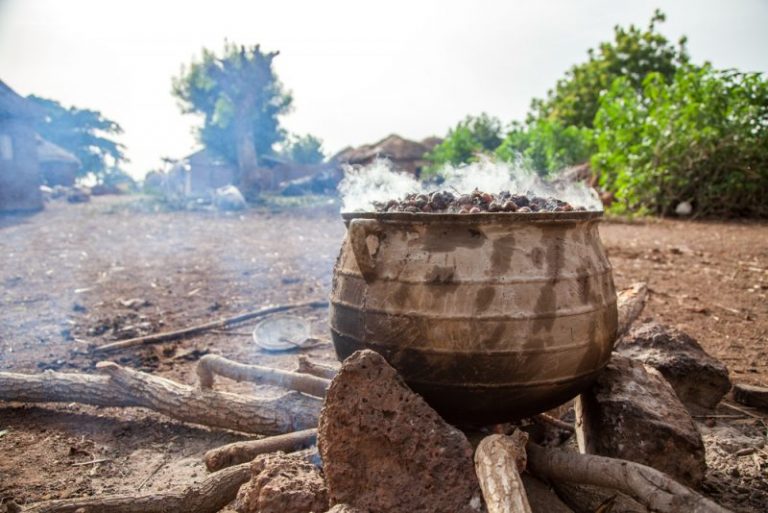How to Make Shea Butter Traditionally - Countryside